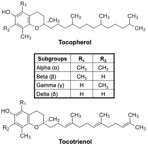 Tocopherol Structure