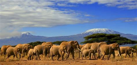 united states postgresql association on linkedin postgresql postgres