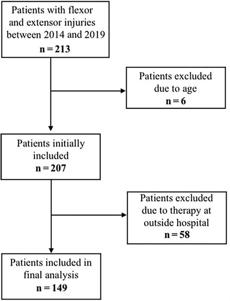 Hand Therapy After Flexor And Extensor Tendon Repair Assess