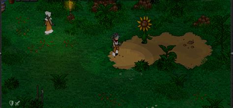 Top Sunflow Datasets And Models Roboflow Universe