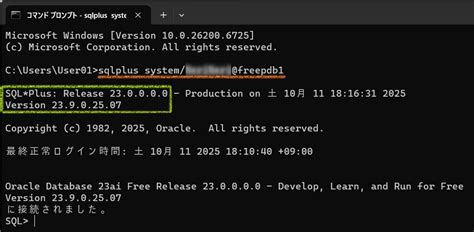 Oracle Instant Client インストール（64bit版・32bit版 共存） Nerinoのブログ
