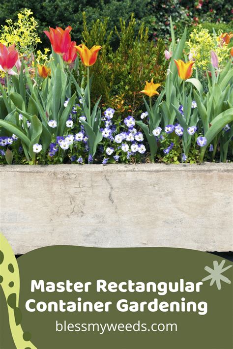 Rectangular Container Gardening Tips Container Gardening Tips And