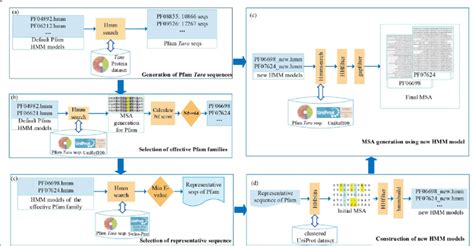 Flowchart Of Multiple Sequence Alignment Construction A Generation