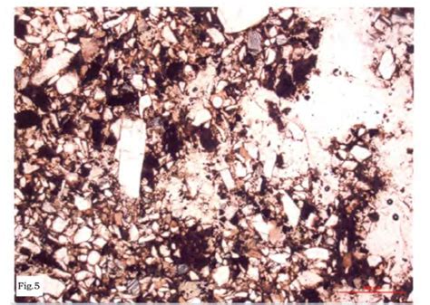 Photomicrograph Of The Overlying Sediments Note The Angular To Download Scientific Diagram