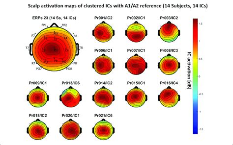 Scalp Activation For The Selected Independent Components Ics For 14 Download Scientific