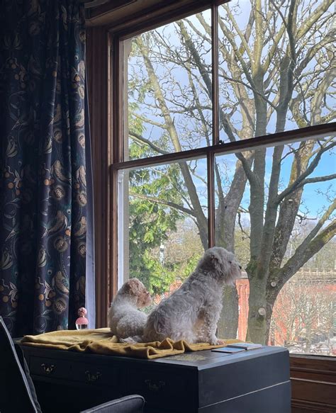 Helen Matthews On Linkedin Coworkers Squirrel Watching Networkautomation Outofthebox