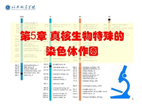 第五章 真核生物特殊的染色体作图 Word文档在线阅读与下载 无忧文档