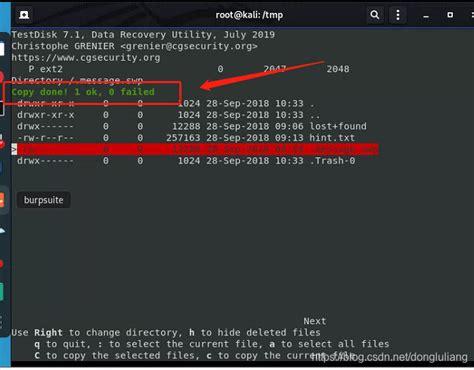 Ctf杂项 Easydumpimgctf Img文件 Csdn博客