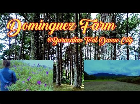 Sunridge Adventure Farm Resort At Baracatan Toril Davao City Youtube
