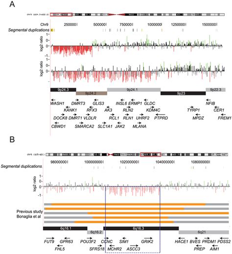 Novel Cnvs Identified In The Id Cohort A Overlapping Deletions On Download Scientific