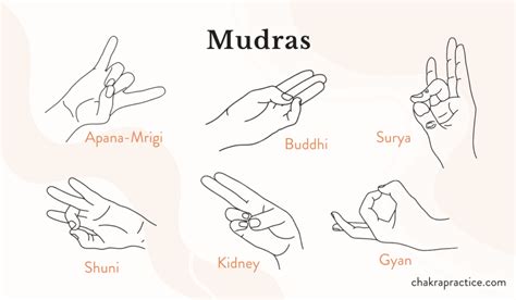 Best Root Chakra Mudras Chakra Practice