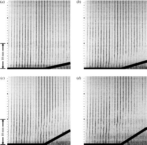 Sample Instantaneous Shock Wave Turbulent Boundary Layer Interaction Download Scientific