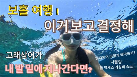 Travel Log 🤿프리다이빙하러 필리핀 🏝️보홀 간 기록 Day1🏖️보홀🐳고래상어🐠나팔링현지투어 ️ Youtube