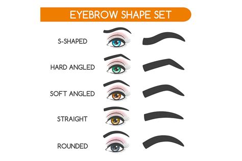Eyebrow Shape Chart