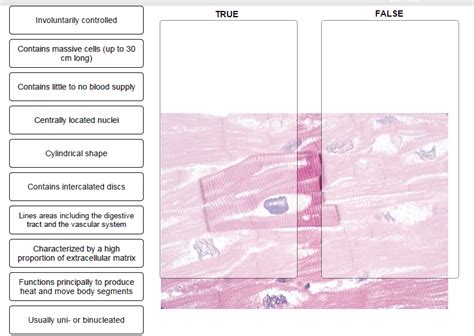 Solved Observe The Given Picture And Then Determine Whether Chegg