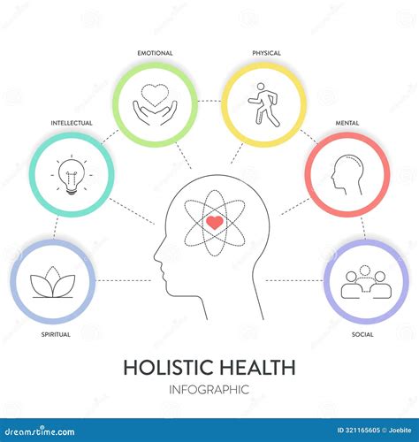 Holistic Health Framework Infographic Diagram Chart Illustration Banner Template With Icon Set
