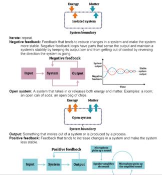 Apex Learning Physical Science Sem 1 Quiz By Quiz Study Packet By MissSunday