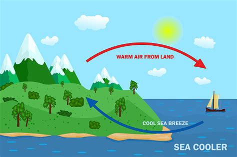 바다와 육지 바람을 위한 과학 포스터 디자인 열 온난하 고 차가운 공기 순환 다이어그램 다이어그램에 대한 스톡 벡터 아트 및