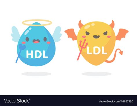 Hdl And Ldl Cholesterol Cartoon Good Fat Bad Vector Image