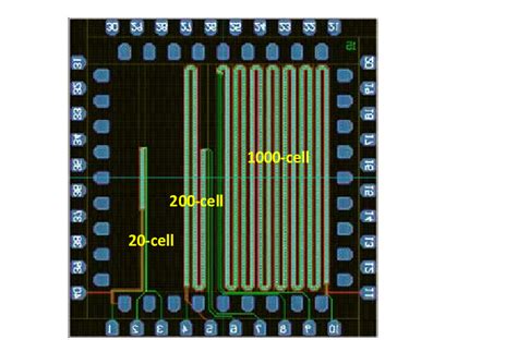 chip layout of different three bi squid sqif arrays with 20 200 and