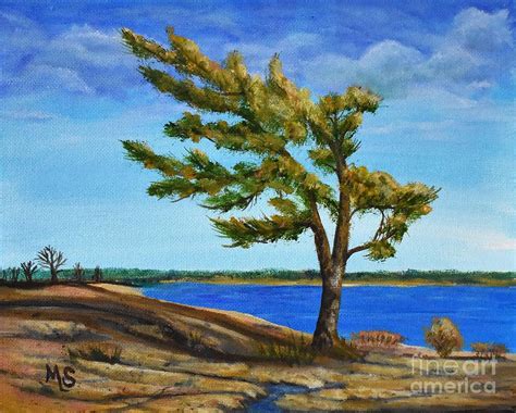 Wall Art Windswept Trees At John Regis Blog