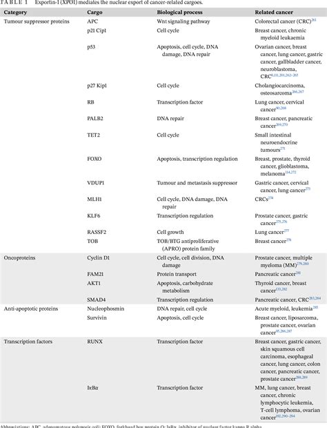 Table 1 From The Nuclear Export Protein Exportin‐1 In Solid Malignant Tumours From Biology To