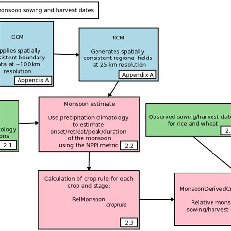 a flow chart summarizing the methodology the blue rectangles represent