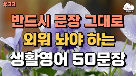 생활영어 33탄 기초영어회화 50문장 이것만 죽어라 외우세요 자동으로 영어실력 향상 2시간 자동재생 Youtube