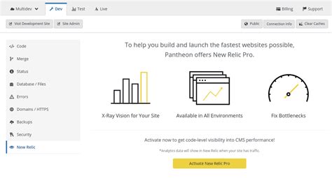 Activate New Relic New Relic Performance Monitoring On Pantheon Pantheon Docs