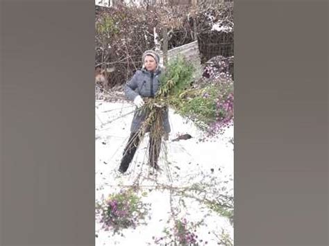 Самое лучшее укрытие для клубники ☘ - YouTube