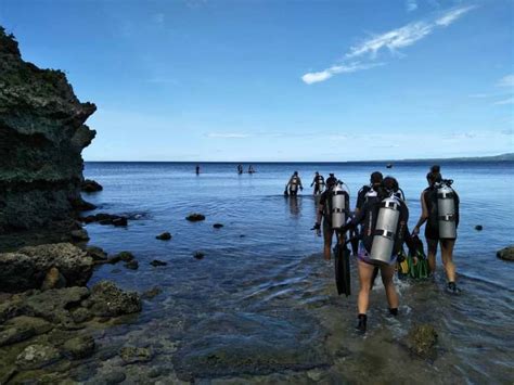 Coral Reef Monitoring Coral Reef And Rainforest Conservation Project