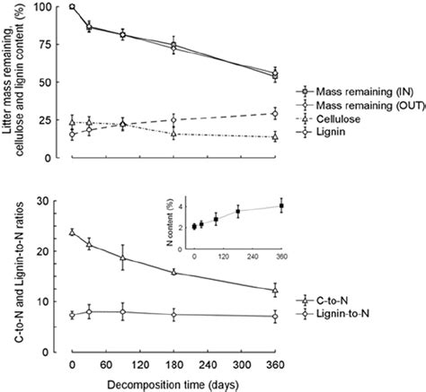 Results Of The Litter Decomposition Experiment Dynamics Of Litter Mass