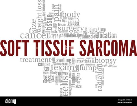 Soft Tissue Sarcoma Word Cloud Conceptual Design Isolated On White Background Stock Vector Image