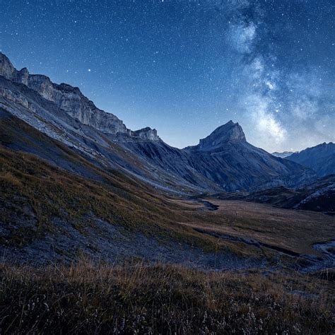 Nature Finance And Biodiversity Credits A Private Sector Road Map To