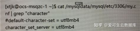 技术分享 为什么我的 Mysql 客户端字符集为 Latin1 知乎
