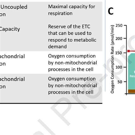 Respirometric Methods Of Bioenergetic Assessment Panel A Shows The Download Scientific