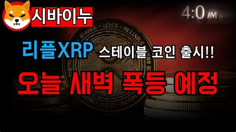 리플xrp금일 새벽 스테이블 코인 출시 새벽 4시 폭등 예정 Youtube