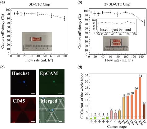 The Performance Of A Single 3d Ctc Chip And 2 Â 3d Ctc Chip And Ctcs