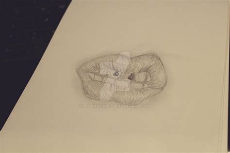 Mouth Sketch WIP By LisaNature On DeviantArt