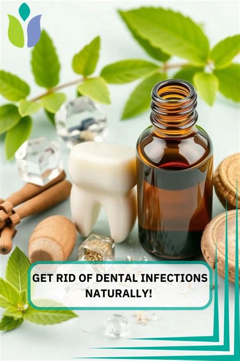 15 Natural Antibiotics For Dental Health Dental Infection Remedies For Tooth Ache Natural