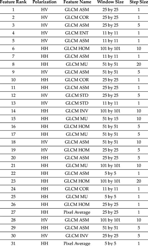 List Of 31 Glcm And Statistical Features Selected Using Recursive