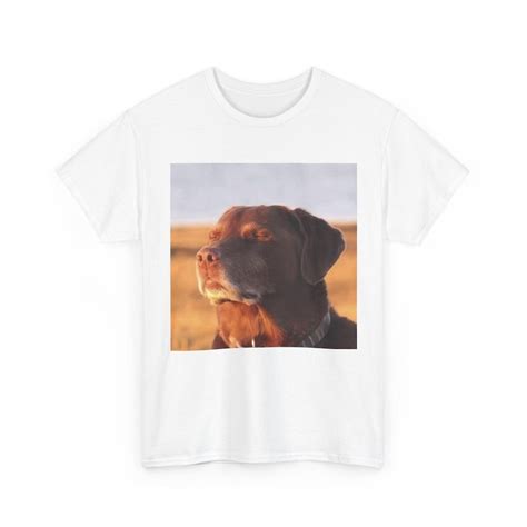 Dog Accepting His Fate Meme T Shirt Funny Viral Meme Tee Etsy