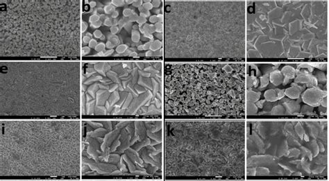 Scanning Electron Microscopy Results For All Samples Each Sample Was Download Scientific