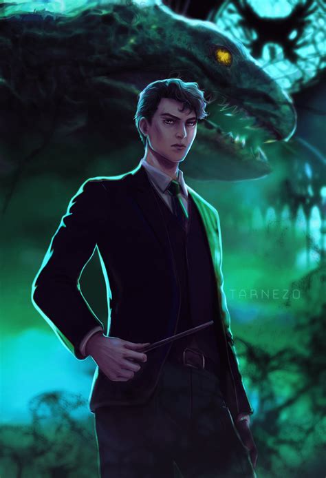 Young Voldemort Fan Art Rharrypotter