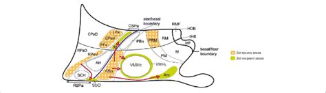 Schematic Color Coded Mapping Upon Our Basic Schema Of Figures 1bc