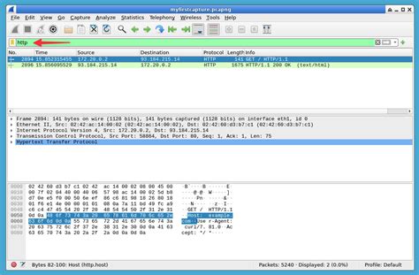 Network Analysis With Wireshark Labex