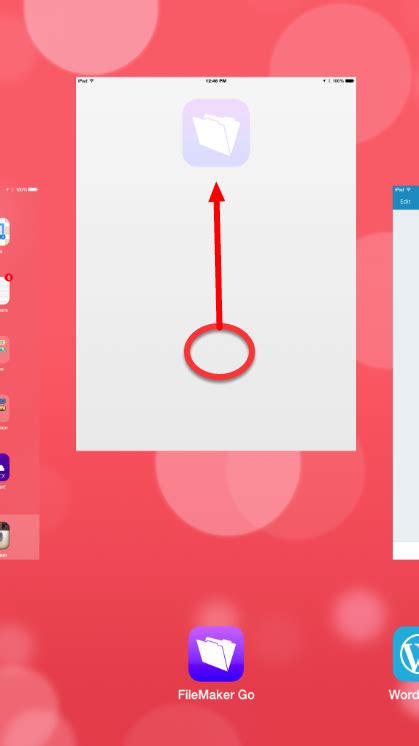 Filemaker Go Icon At Vectorified Collection Of Filemaker Go Icon Free For Personal Use