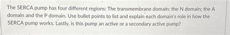 Solved The Serca Pump Has Four Different Regions The