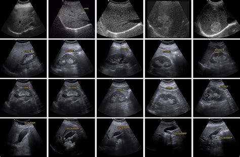 Sample Images From Corel 1 K Dataset Download Scientific Diagram