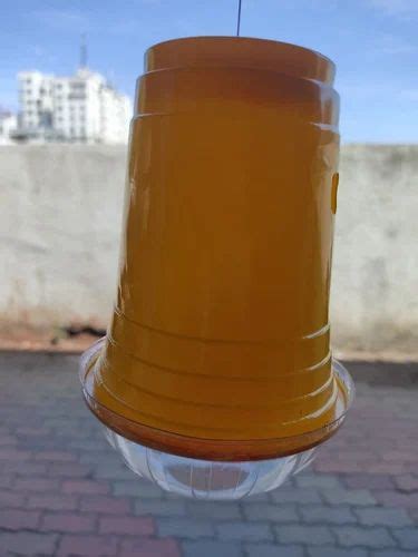 Melon Fly Lure At Rs 60 Fruit Fly Trap In Vyara Id 2853743046748